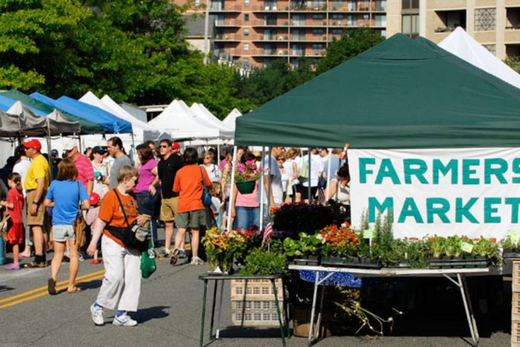 A quick start guide for food stall owners - Food Safety Blog - Food ...